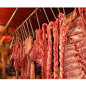 HONSHEN 10 Inch Meat Hook, Heavy Duty 10mm S-Hooks Stainless Steel Meat Processing Butcher Hooks (10mm10inch)