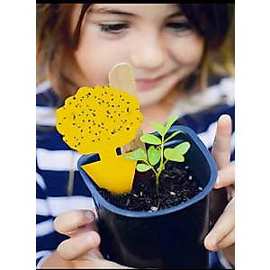 Zevo Flying Insect Trap Refill, 2 Count (Pack of 2), Set with (4) pcs of Exclusive Fusion Shop Store Modern Yellow Sticky Fruit Trap (Device is NOT Included)