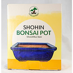 Rectangular Blue Glazed Cactus & Succulent Planter, Bonsai Pot + Mesh + Wire - 6"x 4.5"x 2.25"