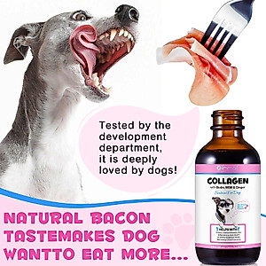 Collagen for Dogs,Liquid Collagen for Dogs,Collagen Supplement for Dogs,Collagen Boost for Dogs with Biotin, MSM & Ginger,Delicious Bacon Flavor,2 Fl Oz