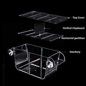Qguai Fish Breeding Box, perfect fish tank divider acclimation box for aggressive fishes, nursery for injured, hatchery incubator breeder box for Shrimp cicilids eggs baby fishes (S ( 5.3*2.7*2.9" ))