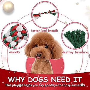 HPETHF Puppy Teething Chew Toys for Small Dog, Puppy Teething Rings Rope Cute Rubber Toy Interactive Chewers Relieve Itching Treat Ball Clean Teeth Toy 6 Pack (9 Pack)