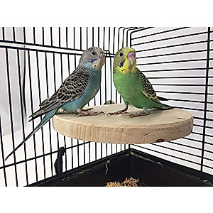 MINORPET Wood Perch Platform Stand for Small Animals Pet Cage Accessories Bird Parrot African Grey Parakeet Conure Cockatiel Budgie Gerbil Rat Mouse Chinchilla Hamster Exercise Toy