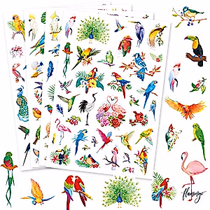 Watercolor Bird Stickers Party Favors 730 Counts Animal Jungle Woodland Tropical Birds Flamingo Parrot Stickers Gift Water Bottle Scrapbook Laptop Planner Stickers Kids Boys Girls Birthday Party