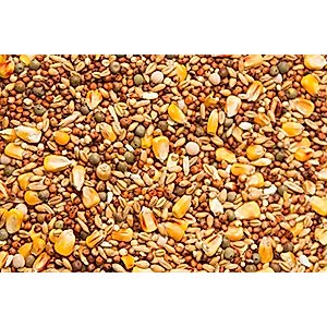 Purgrain Economy 11% with SYC– 50 lb bag