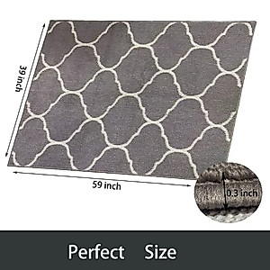 Esychrug Area Rugs Moroccan Trellis Non-Slip Rubber Backing Area Rug for Indoor/Outdoor Indoor Living Dining Room and Bedroom (39x59 inches Grey)