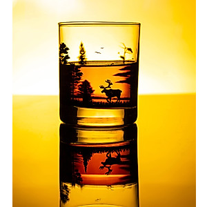 Whiskey Glasses set of 2 cocktail glasses bourbon glass Old Fashioned Glasses Gifts for holiday, Men,11 ounce