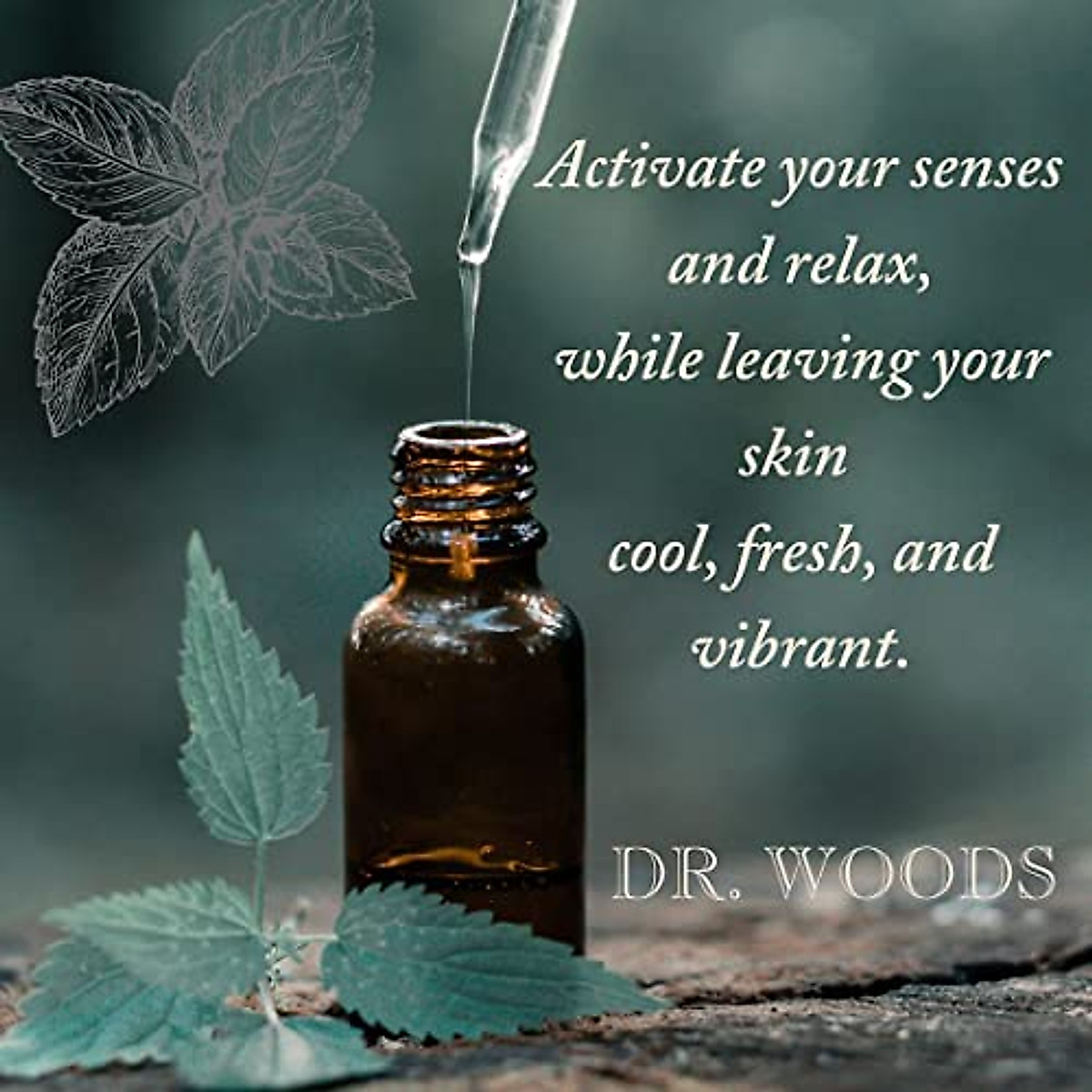 Dr. Woods Peppermint & Tea Tree Liquid Castile Soap with Organic Shea Butter Variety 2 Pack