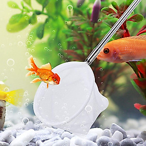 01 Fishing Net, Fishing Catch Net, Long Handled Fishing Net Retractable Fishing Net Telescoping for Fishes Crab Shrimps Lobster