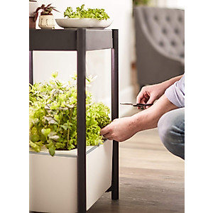 Miracle-Gro Twelve Indoor Growing System, Side Table with LED Grow Light for Year Round Gardening, Planter For Leafy Greens, Herbs & Flowers