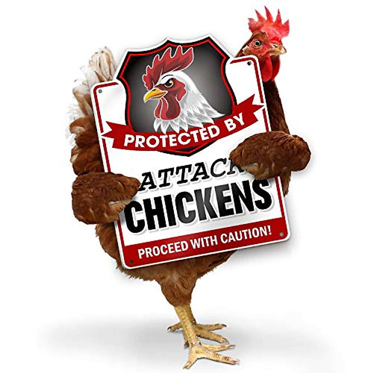 Bigtime Signs Protected by Attack Chickens PVC 9" x 12"| Chicken Fan Lovers Chicken Signs for coop Funny Outdoor | Chicken Coop Signs - Chicken Coop Accessories | Chicken Yard Decorations