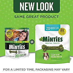 Minties VetIQ Dog Dental Bone Treats, Dental Chews for Medium/Large Dogs (Over 40 Lbs), 32 Ounces, Green, 40 Count