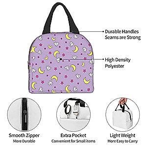 Portable Insulated Tote Lunch Box Lunch Bag for Women Men Boys Girls with Work Picnic Travel, Purple, One Size