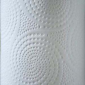 Genuine Joe-GJO24080 2-Ply Household Roll Paper Towels (Pack of 30) - WHITE