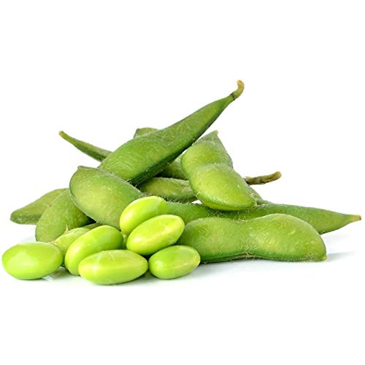 Midori Giant Edamame Seeds for Planting, 25+ Heirloom Seeds Per Packet, (Isla's Garden Seeds), Non GMO Seeds, Botanical Name: Glycine max, Great Home Garden Gift