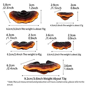 Srutueo 5 PCS Mushroom Shelf Wall Decor Small Wall Shelf Corner Wall Decor Resin for Bedroom Mushroom Decor Floating Shelves