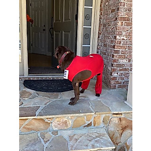 SurgiSnuggly Dog Recovery Suit with Dog Leg Sleeve for Back Legs - XLL, Easier Than Dog Pants Or Dog Suspenders for Your Dogs After Surgery Care SS Legs Xtra Large Long