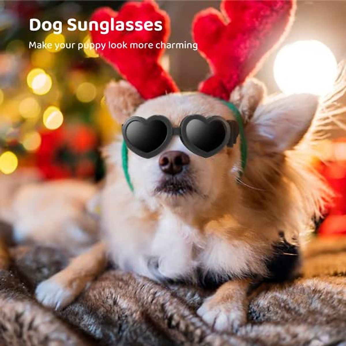 Small Dog Sunglasses Dog Goggles: UV Protection Wind Protection Dust Protection Fog Protection Pet Heart Glasses with Adjustable Strap, Fashion Cool Pet Sunglasses Cute Dog Bows Accessories (Black)
