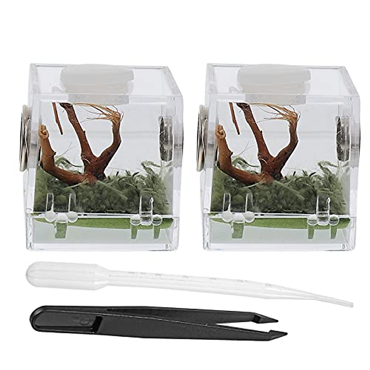 NUOBESTY 2 Set Spider Terrarium Acrylic Critter Keeper Jumping Spider Enclosure Snail Container House Reptile Terrarium Insect Enclosure Tank Snail Spider Habitat 3. 5X3. 5X4CM