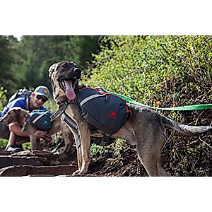 Mountainsmith K9 Dog Pack, Adjustable Chest and Back Harness Canine Backpack, Saddle Bags with Zippered Pockets for Camping, Travel, Outdoors, Backpacking, Hiking