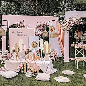 GALLIA Pampas Grass Decor Tall-Faux Pampas Grass Small 17"-6 Stems-Beige and Taupe Brown Pompas Floral, Artificial Pampas Grass Fake Pampas Grass Dried Pompous Grass (6Pcs)