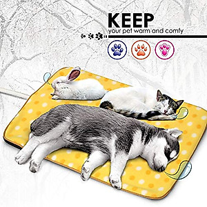 Fluffy Paws – Indoor Pet Bed Warmer Electric Heated Pad with Cover | Dual Temperature & UL-Certified Dog Bed Heated Warmer | Large Pet Bed Heater Measures 20.9 x 28.4 | Yellow Dot