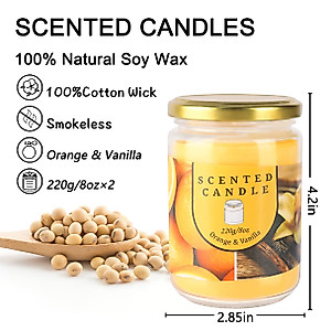 2 Pack 16oz Orange Vanilla Aromatherapy Candle with 80 Hours Long-Lasting Burn time Odor Elimination Scented Candles Gift Set for Women, Natural Soy Wax