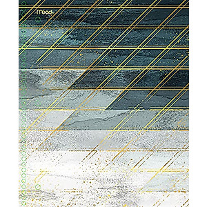 Mead Spiral Notebooks, 1 Subject, College Ruled Paper, 80 Sheets, Modern Chic, 3 Pack (38196)