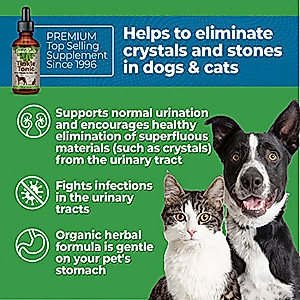 Animal Essentials Tinkle Tonic Herbal Formula for Healthy Urinary Tract in Dogs & Cats (Various Sizes) - Made in The USA (2 fl oz)