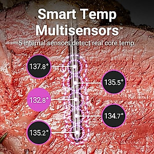 MEATER Pro / 2 Plus: Wireless Bluetooth Smart Meat Thermometer | 1000°F Open Flame Grilling | Extra Long Range | Multi Sensors | Certified Accuracy | BBQ, Oven, Grill, Smoker, Air Fryer, Deep Fryer