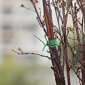 Shintop 328 Feet Garden Plant Twist Tie with Cutter for Gardening, Home, Office (Green)