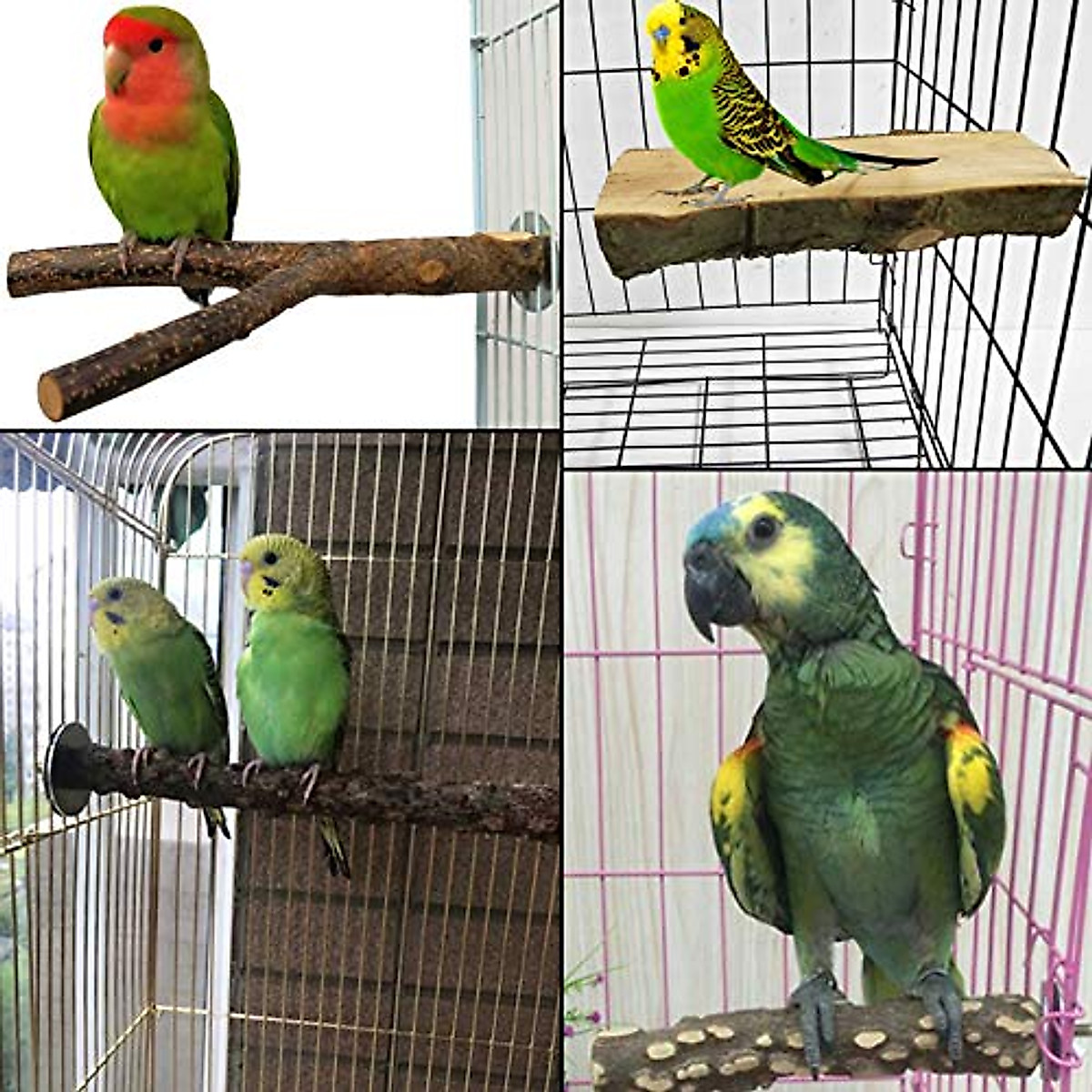 kathson Wood Bird Perch Wooden Parrot Stand Toy Parakeet Standing Platform Chew Toys Natural Cuttlebone Paw Grinding Stick Cockatiels Cage Accessories Exercise Toy for Conures Budgies Lovebirds 5PCS