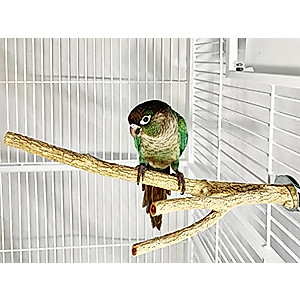 Birds LOVE Small Bottlebrush Wood Cage Perch