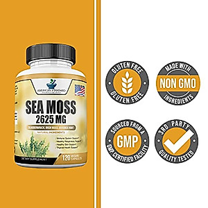 Organic Sea Moss 2625mg, Seamoss, Hand Harvested, Irish Moss Bladderwrack and Burdock Root, Sea Moss Capsules, Irish Sea Moss Alternative to Sea Moss Powder, Sea Moss Gel, 120 Vegan Capsules