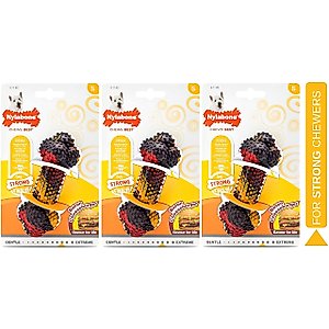 Nylabone 3 Pack of Bacon Cheeseburger Flavor Frenzy Strong Chew Toys, Small