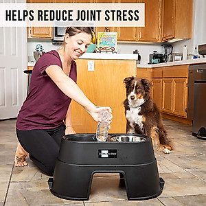 OurPets Comfort Diner Elevated Dog Food Dish (Bowls Available in 4 inches, 8 inches and 12 inches for Large , Medium and Small Dogs), Black, 12-inch