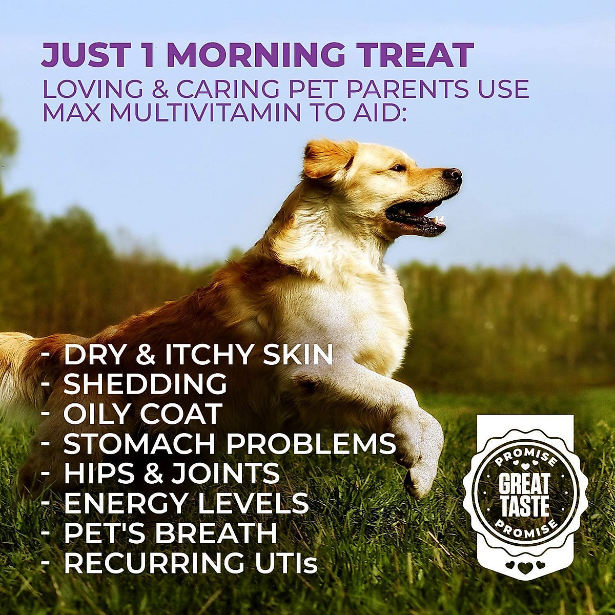Mighty Petz MAX Dog Multivitamin MAX Hemp Glucosamine for Dogs Bundle