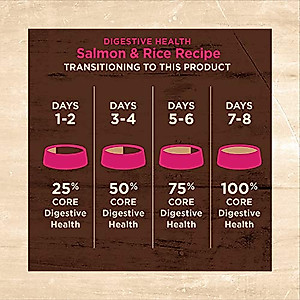 Wellness CORE Digestive Health Salmon & Rice Dry Cat Food, 5 Pound Bag