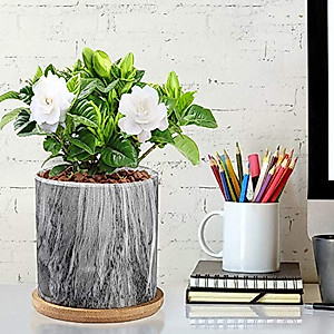 NOIRUC-CZ 6 Pack Succulent Plant Pots, 3 inch Marble Texture Mini Ceramic Planters with Drainage Hole and Bamboo Tray Small Flower Pot Modern Decor for Garden, Balcony, Office