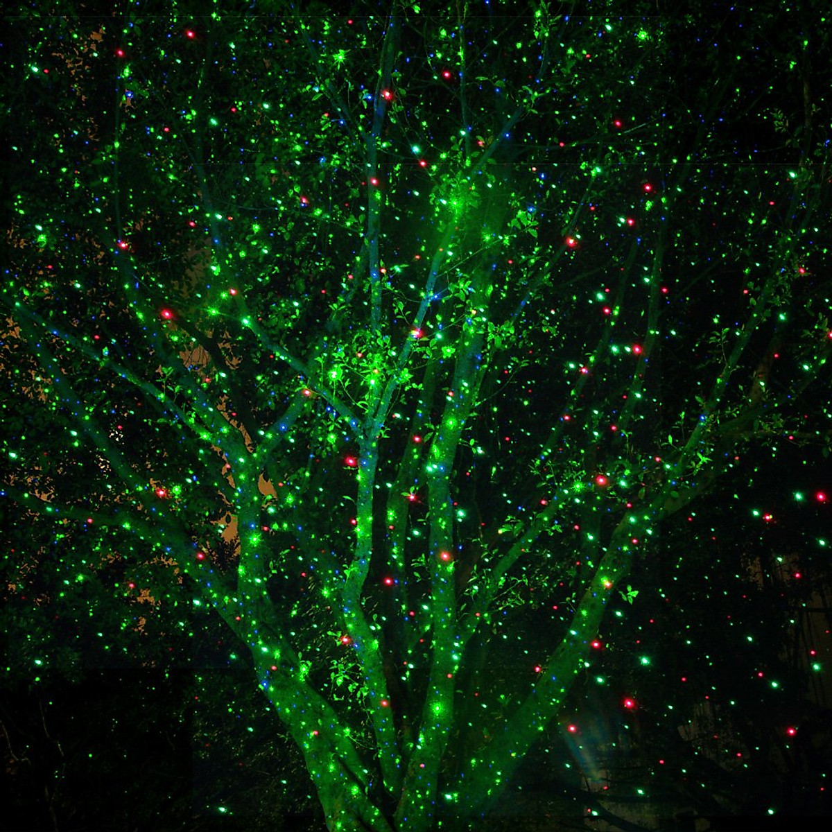 Poeland Garden Lights Moving Laser Christmas Lights Firefly Star Projector for Home and Garden