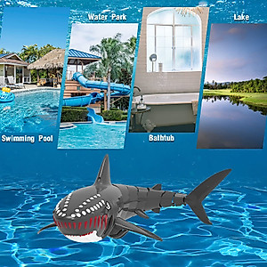 VOLANTEXRC RC Shark Toys, 2.4Ghz 1:18 Scale High Simulation Remote Control Shark Swimming Pool Toy, Great Gift for Kids of Age 4-8 8-12 with 2 Batteries (Gray)