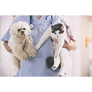 Dog Supplements for Skin and Coat - Dog and CAT Allergy Relief - for Pets - Relieve ITCHING - Premium - Licorice for Dogs - 225 Treats (3 Bottles)