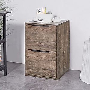 LUCYPAL 2 Drawer Wood File Cabinet,Wooden Storage Filing Cabinets with Hanging Bars for Letter Size and Home Office,Under Desk Storage Cabinet,Assembly Required (Grey)