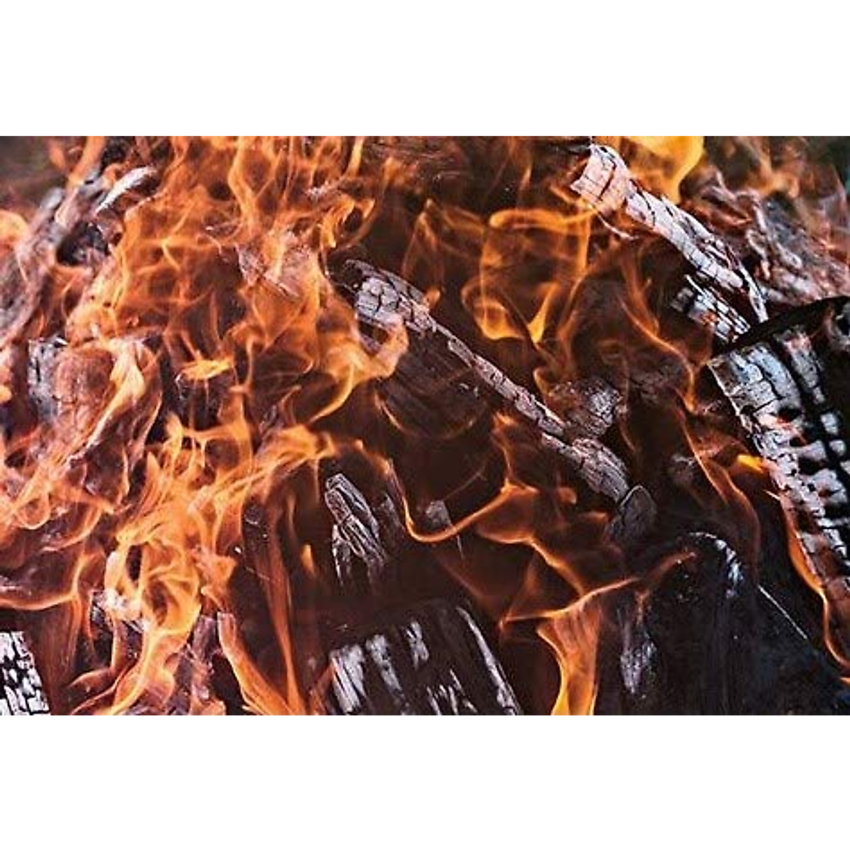 Smoak Firewood - Kiln Dried Premium Oak Firewood (Includes Firestarter) (Large (16inch Logs) 120-140lbs)