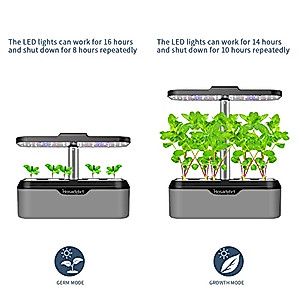 Hosadybrt Indoor Garden Hydroponic Growing System: Plant Germination Kit Vegetable Growth Lamp Countertop with LED Grow Light - Hydrophonic Planter Grower Harvest Veggie Lettuce (12 Pods, Grey)