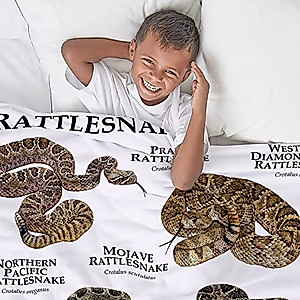 CafePress Rattlesnakes of North America Throw Blanket Super Soft Fleece Plush Throw Blanket, 60"x50"