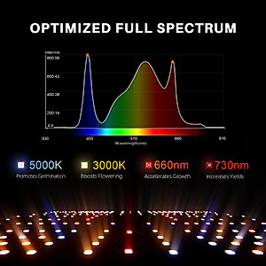 Spider Farmer 2024 New EVO SF2000 LED Grow Light with Samsung LM301H EVO High Efficiency & Dimmable Lighting Full Spectrum Grow Light for Indoor Plants Veg Bloom Growing Lamps for 2x4/3x4 Grow Tent