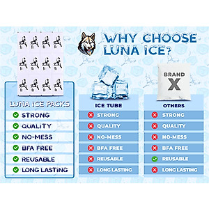 Ice Pack Bulk-Dry Ice for Shipping Frozen Food-Lunch Box Ice Packs-3 Pounds-24+Hours-Slim 15x12in/5x3in-Reusable ice Packs-Freezer Packs-Ice Packs Shipping-Dry ice Packs for shipping-12 Pack-BPA Free