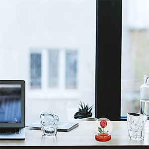 ULTECHNOVO 2pcs Glass Dome Glass Cloche Clear Display Case Cloche Dome Small Display Case Display Cases for Collectibles Glass Case for Display Figures House Decorations for Home Match Cloche