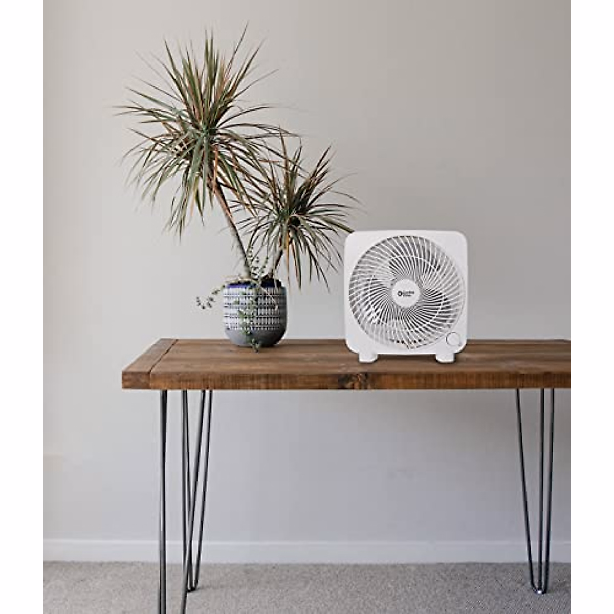 Comfort Zone CZ9BWT Portable 9" 3-Speed Quiet Box Fan for Home, White